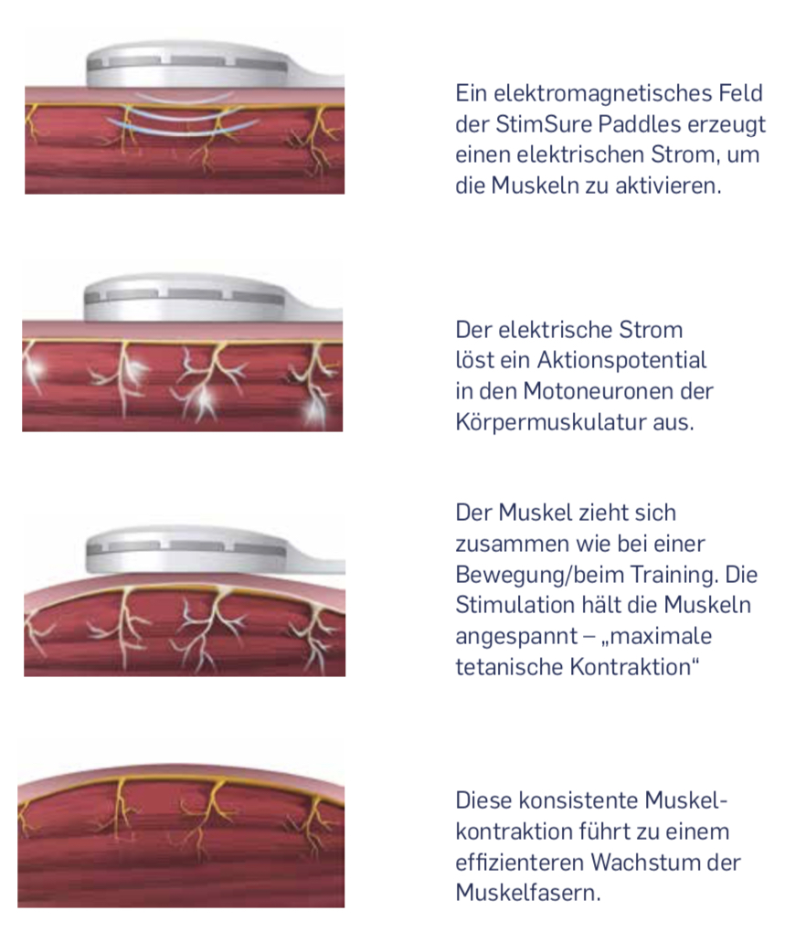 Ästhetik- und Laserzentrum Hautärztin Priv.-Doz. Dr. med. Stefanie ...
